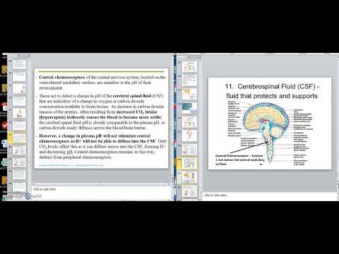 Respiratory Video 25 Respiratory Control C