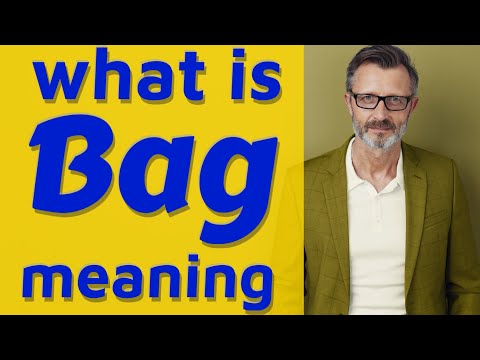 Bag | Definition of bag