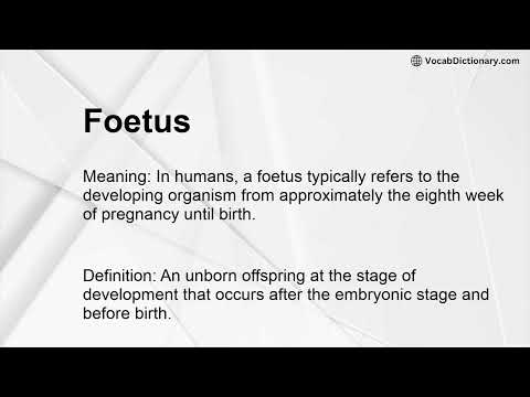 Foetus Meaning