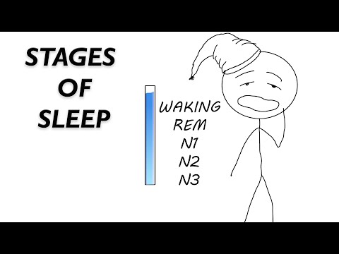 Sleep Stages EXPLAINED | REM (Dream Sleep), NREM (Deep Restful Sleep), and Wakefulness
