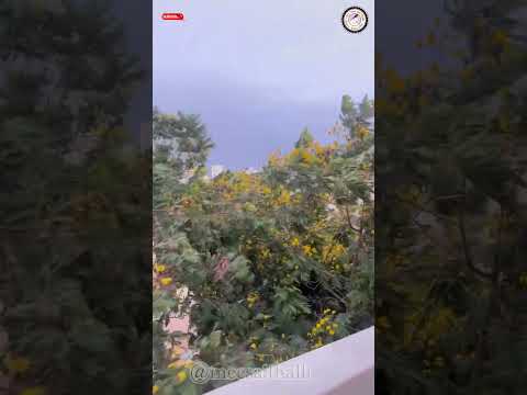 Gusty wind 🌬️ #hyderabad #wind #rain #breeze #trending #shorts #naturelovers #nature #cool