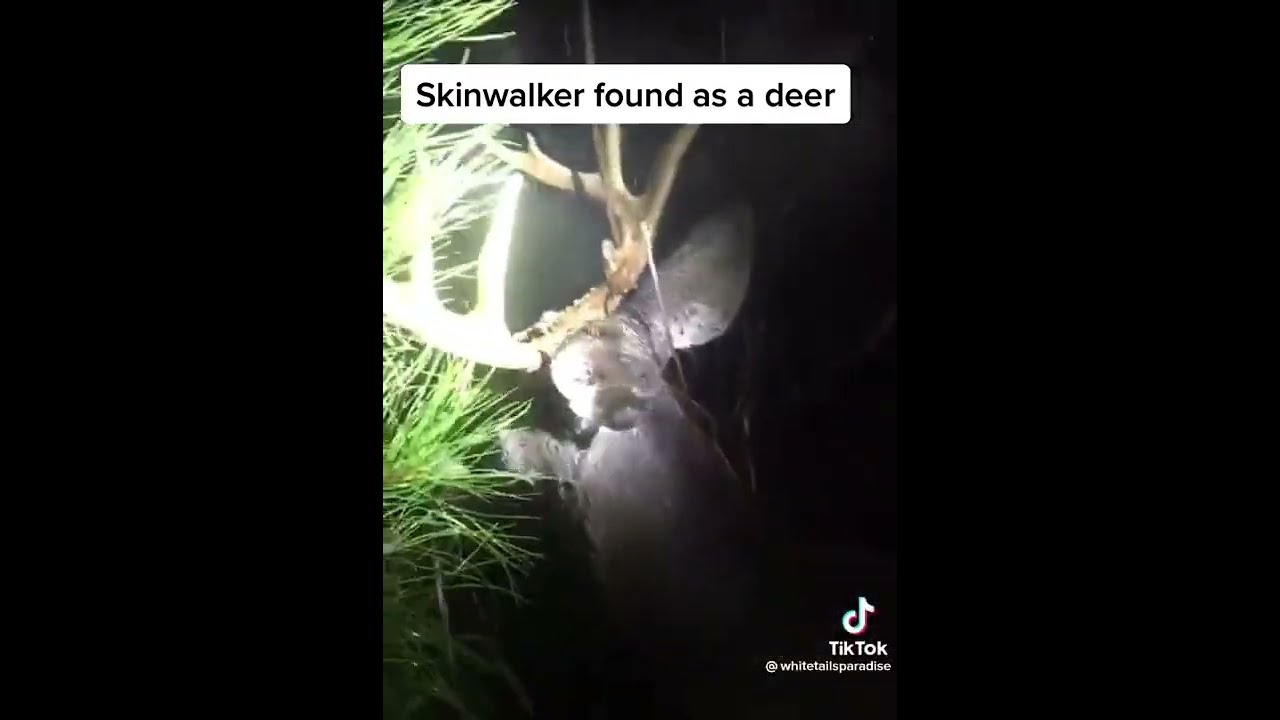 Skinwalker Found as a Deer