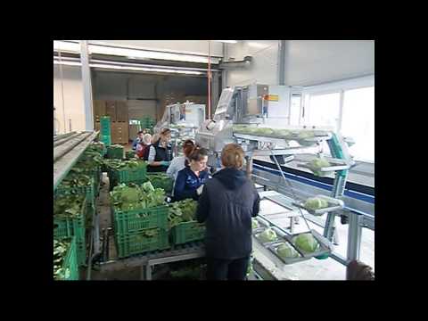 Packaging - Brimapack.com