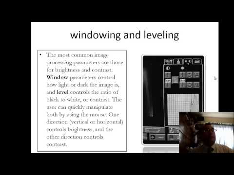 RAD 1226 Digital Imaging Part 2