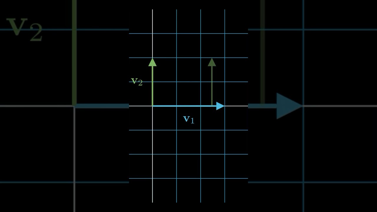 Vector Addition #animation #maths #mathematics #manim #programming