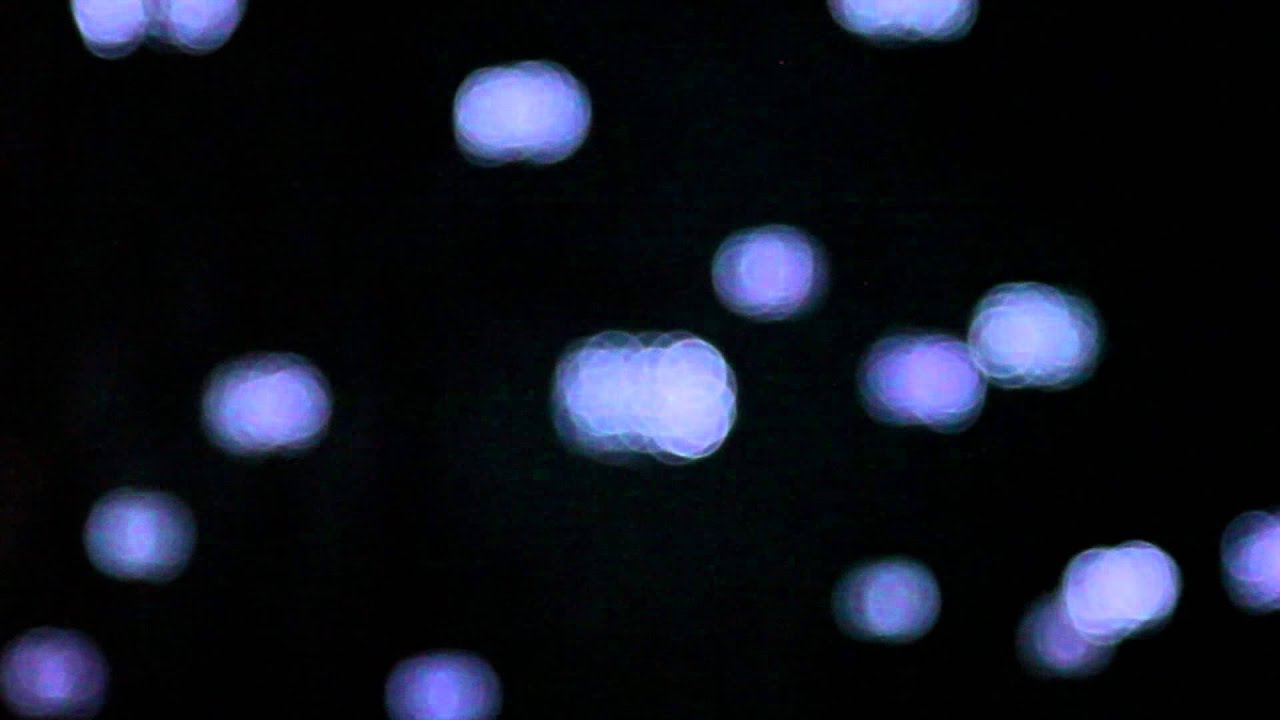 MOTION - Andrea Dameron | Photo Stylist + Designer