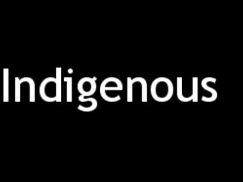How to Pronounce Indigenous
