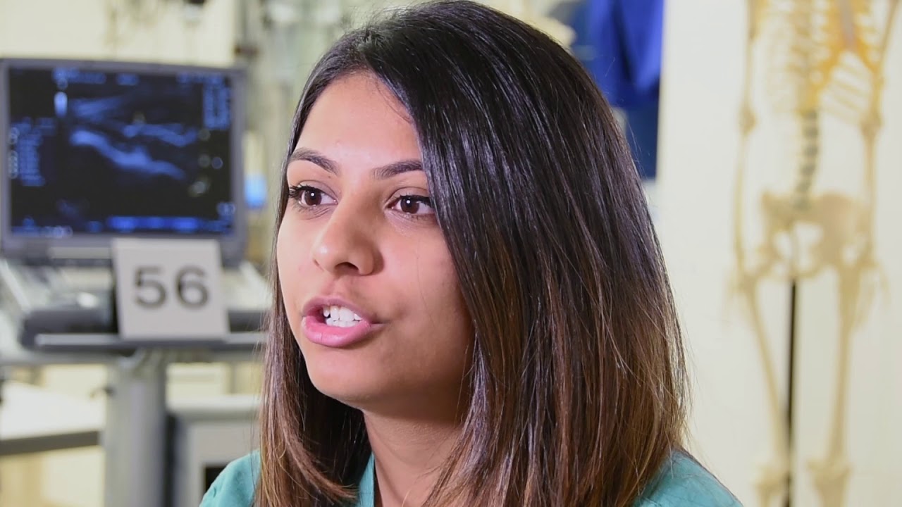 Contemporary Human Anatomy Program