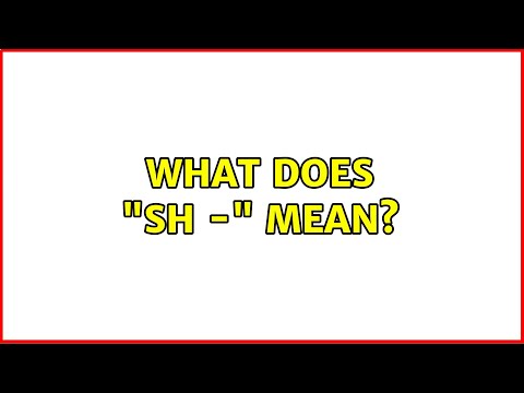 What does "sh -" mean?