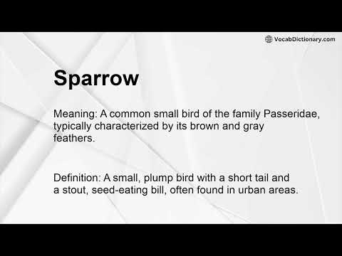 Sparrow Meaning