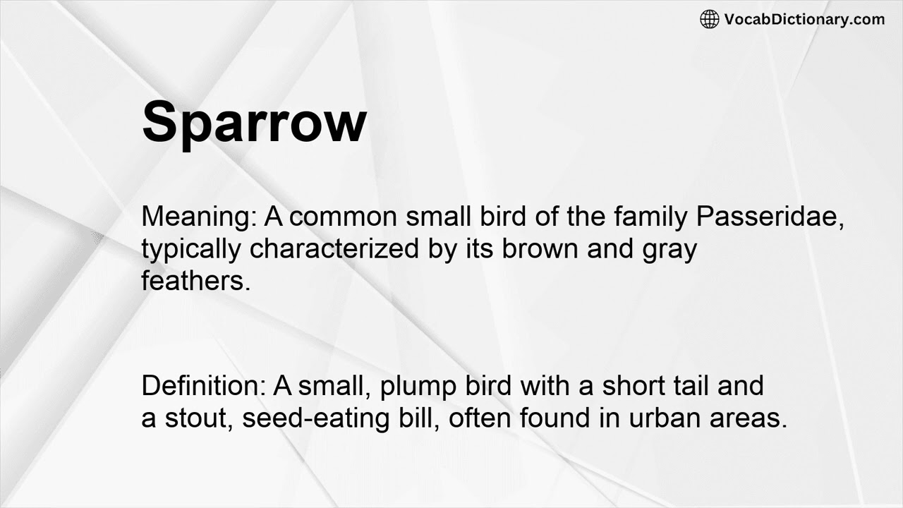 Sparrow Meaning