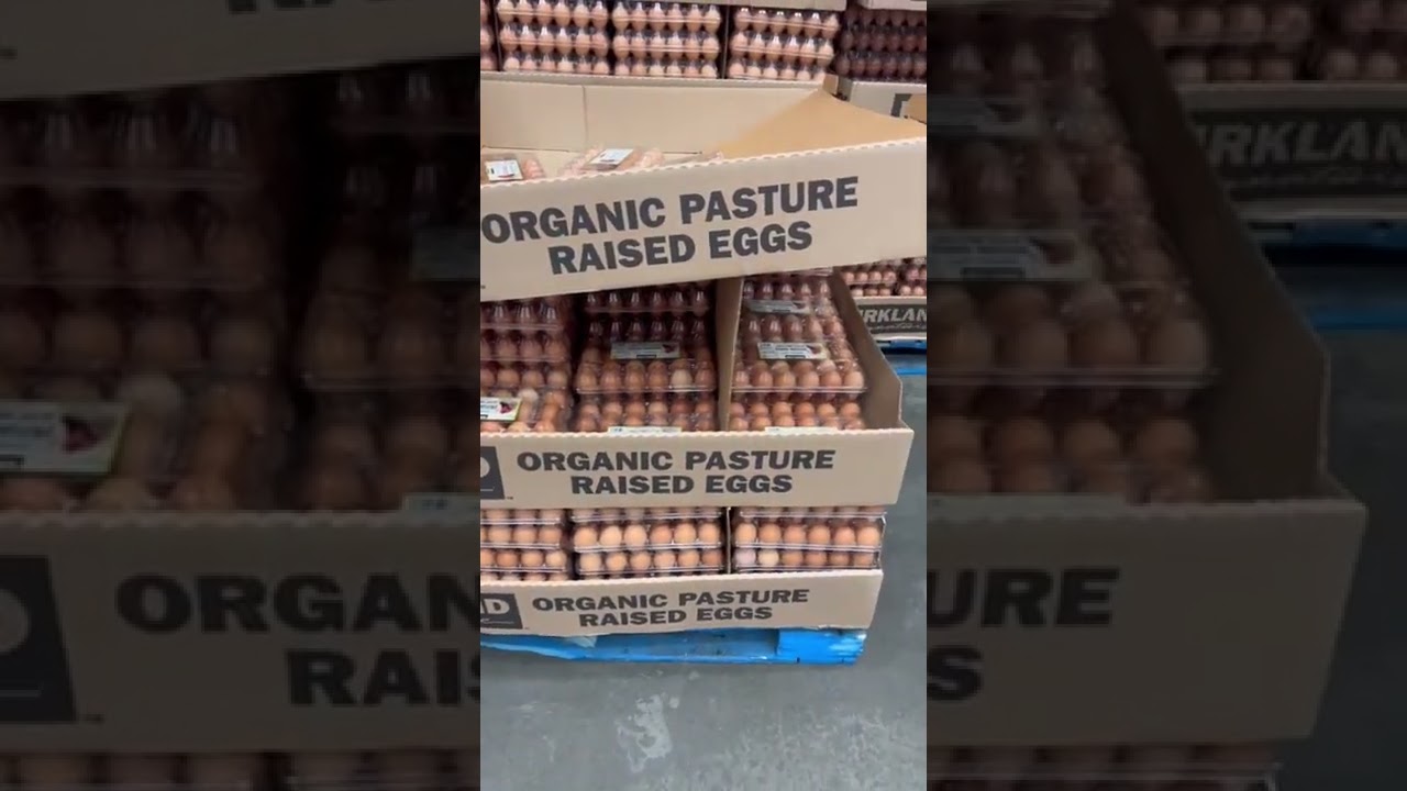 Watch This Before You Buy Eggs at Costco!