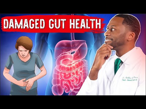 14 SIGNS You Have DAMAGED Gut Health