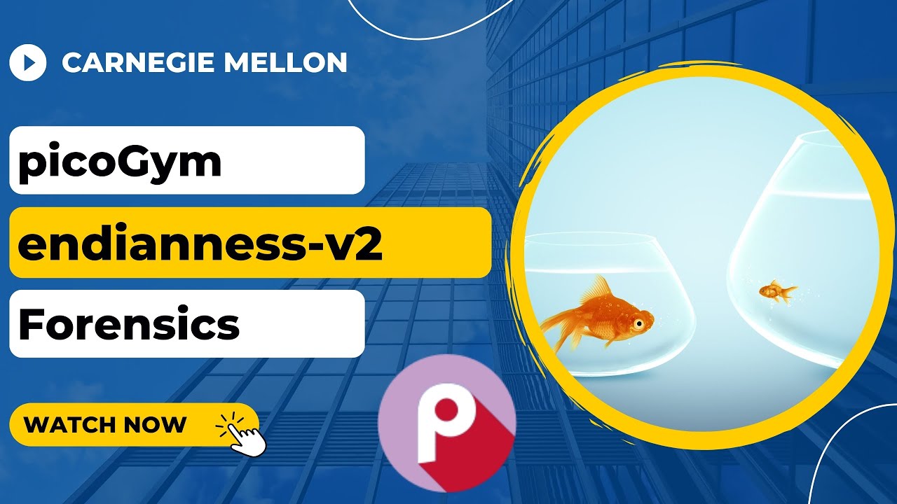 picoGym (picoCTF) Exercise: endianness-v2