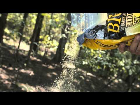 Big & J Deer Bait at Sportsman's Warehouse