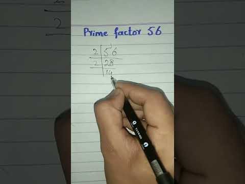 prime factor of 56#shorts