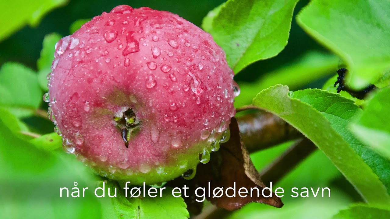 Hvem er Gud?