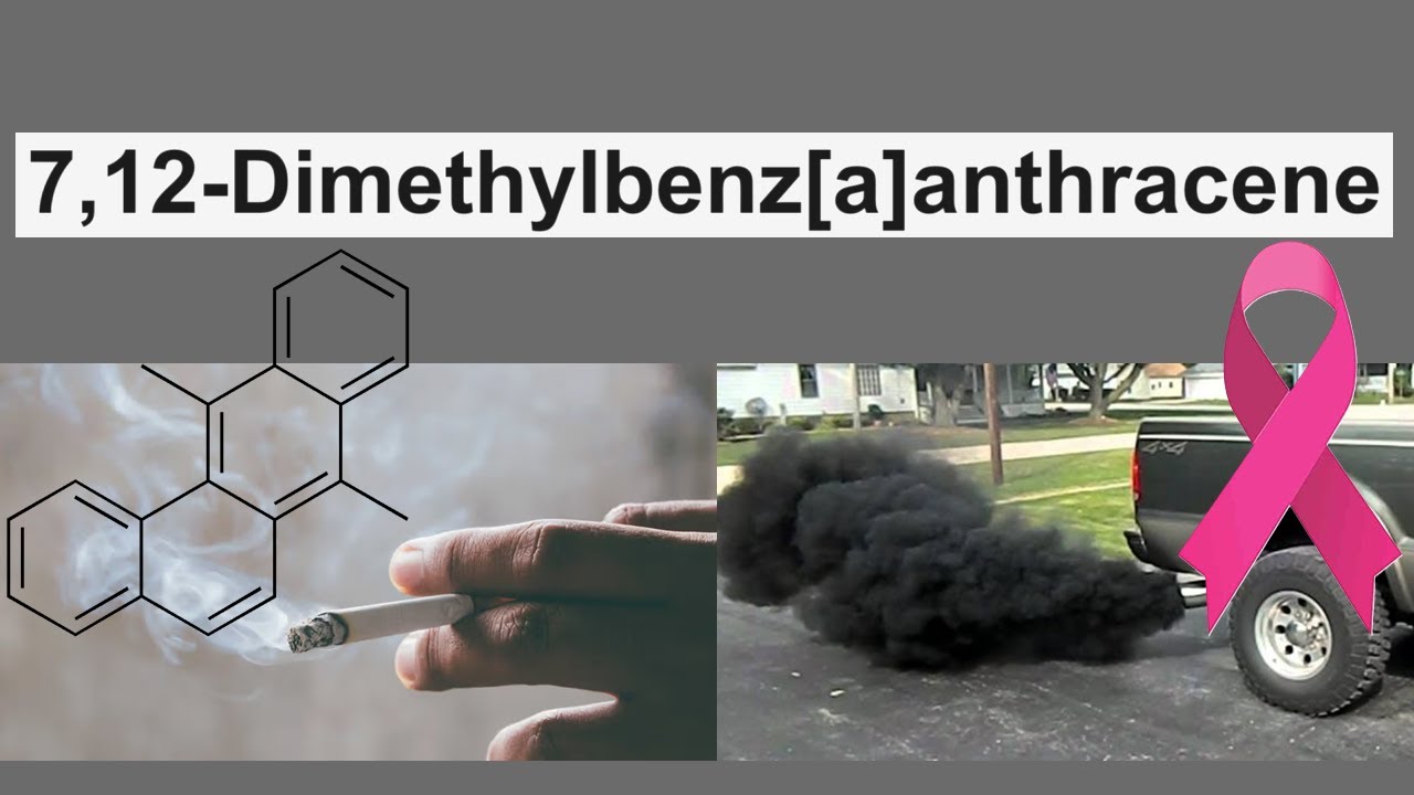7,12-dimethylbenzaanthracene