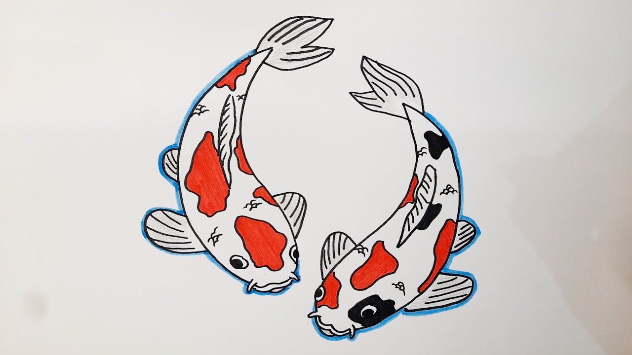 How to Draw a Beautiful and Easy Koi Fish