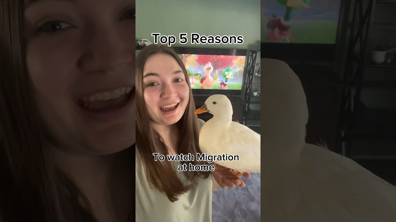 Top 5 Reasons to watch #MigrationMovie at Home🦆 #RatedPG #UPHE_ad https://www.migration.movie/