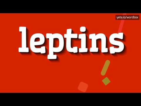 LEPTINS - HOW TO SAY LEPTINS?