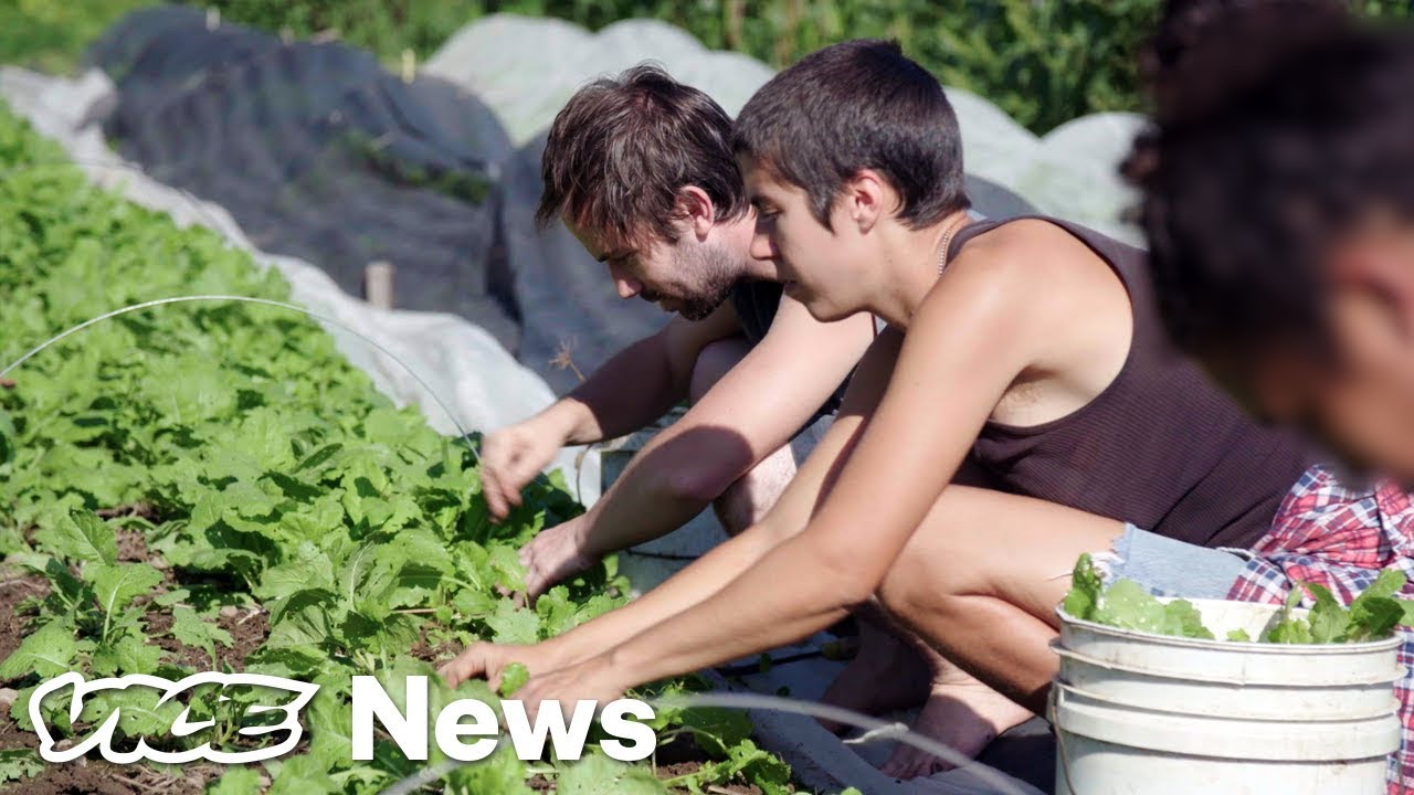 Have You Ever Wanted To Drop Out Of Capitalism? | Outliers Ep. 1