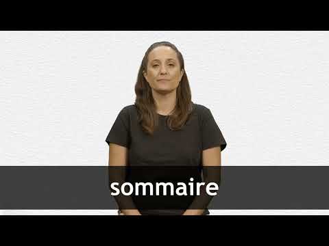 English Translation of “SOMMAIRE” | Collins French-English Dictionary