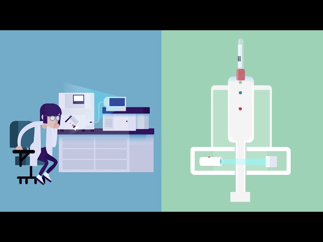 CNIO & The City - Scienseed