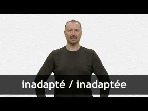 English Translation of “INADAPTÉ” | Collins French-English Dictionary