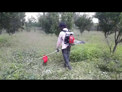 Honda Brush Cutters - Honda Grass Cutting Machine Latest Price, Dealers ...