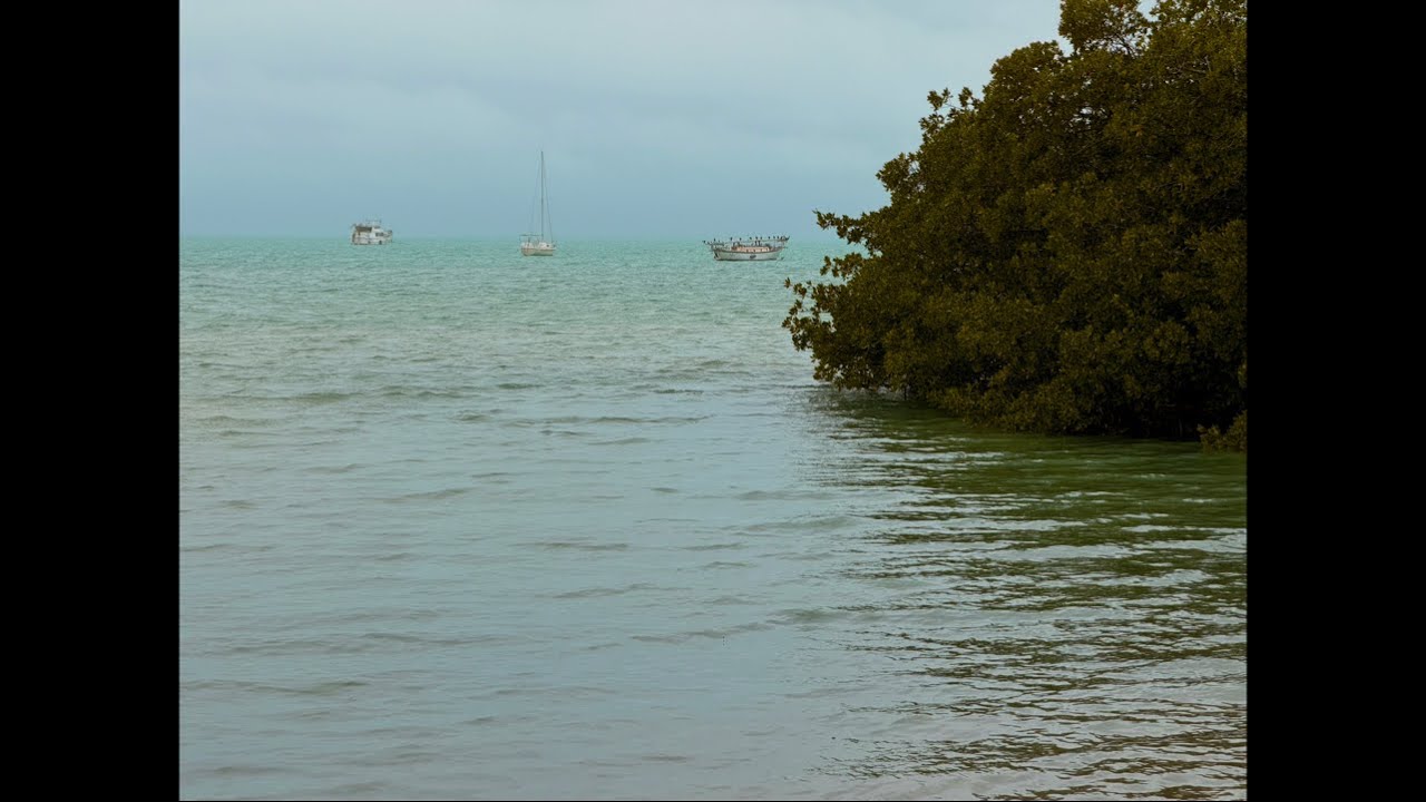 Florida Keys Painting in Acrylics| Let’s Add Something cool!!