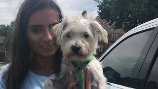 Saving Hope Animal Rescue Fund - GuideStar Profile