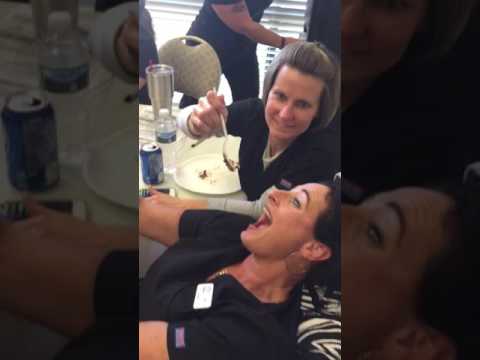 Riccobene Associates Family Dentistry Mannequin Challenge