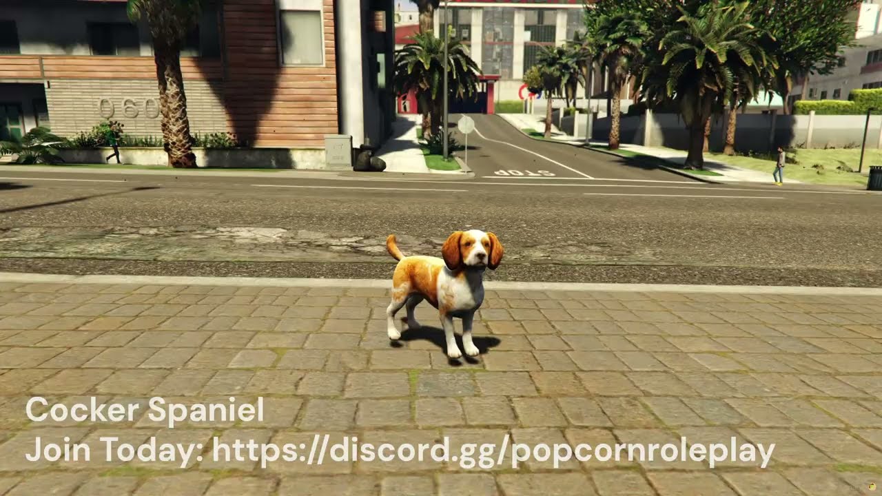 Cocker Spaniel - Addon Dog Ped - FiveM Releases - Cfx.re Community