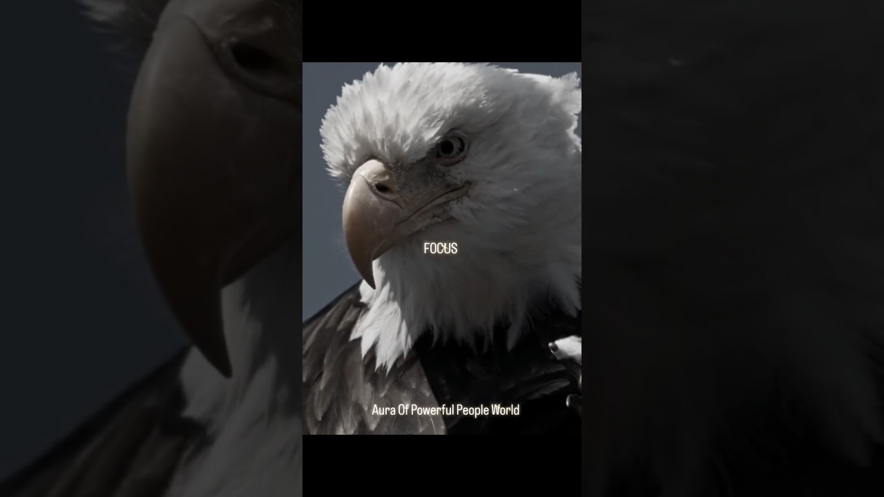 Focus Like an Eagle! | The Secret to Power & Concentration Watch This Eagle for Powerful Focus