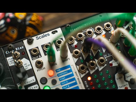 Intellijel Scales - Black | Reverb