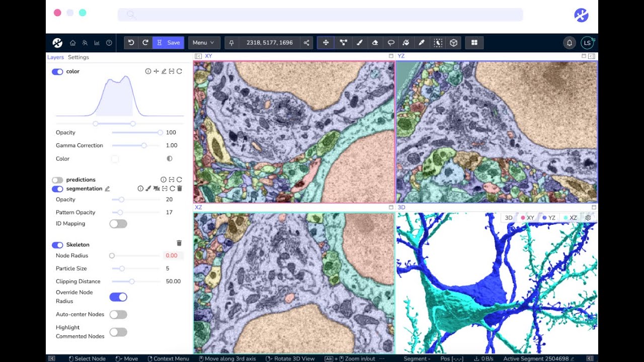WEBKNOSSOS in 100 seconds