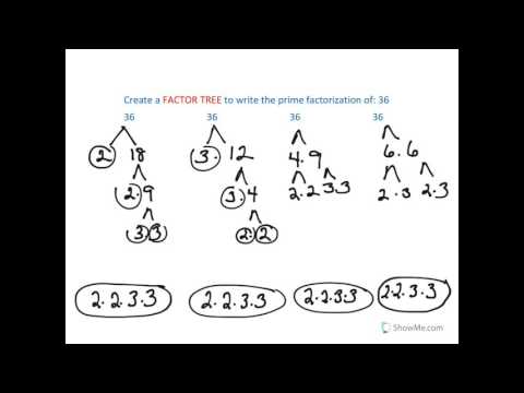 Prime Factorization - Using Factor Tree - Final