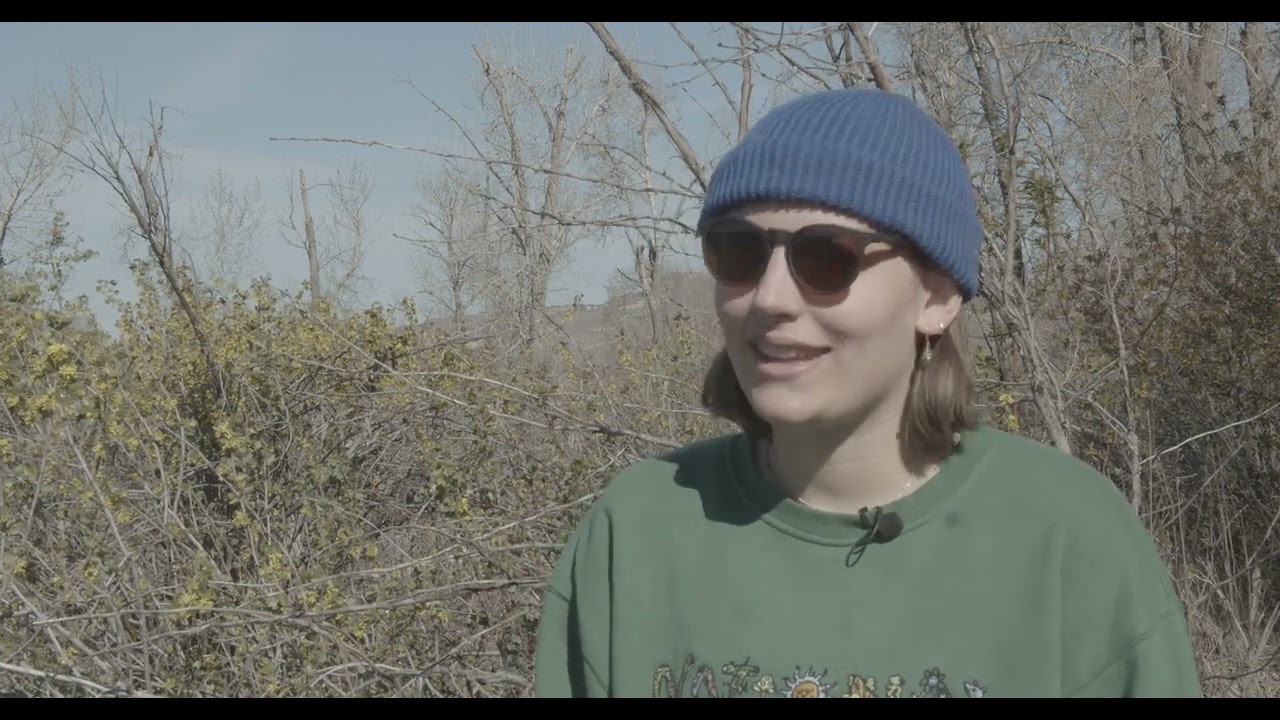 Boise ReWild Project