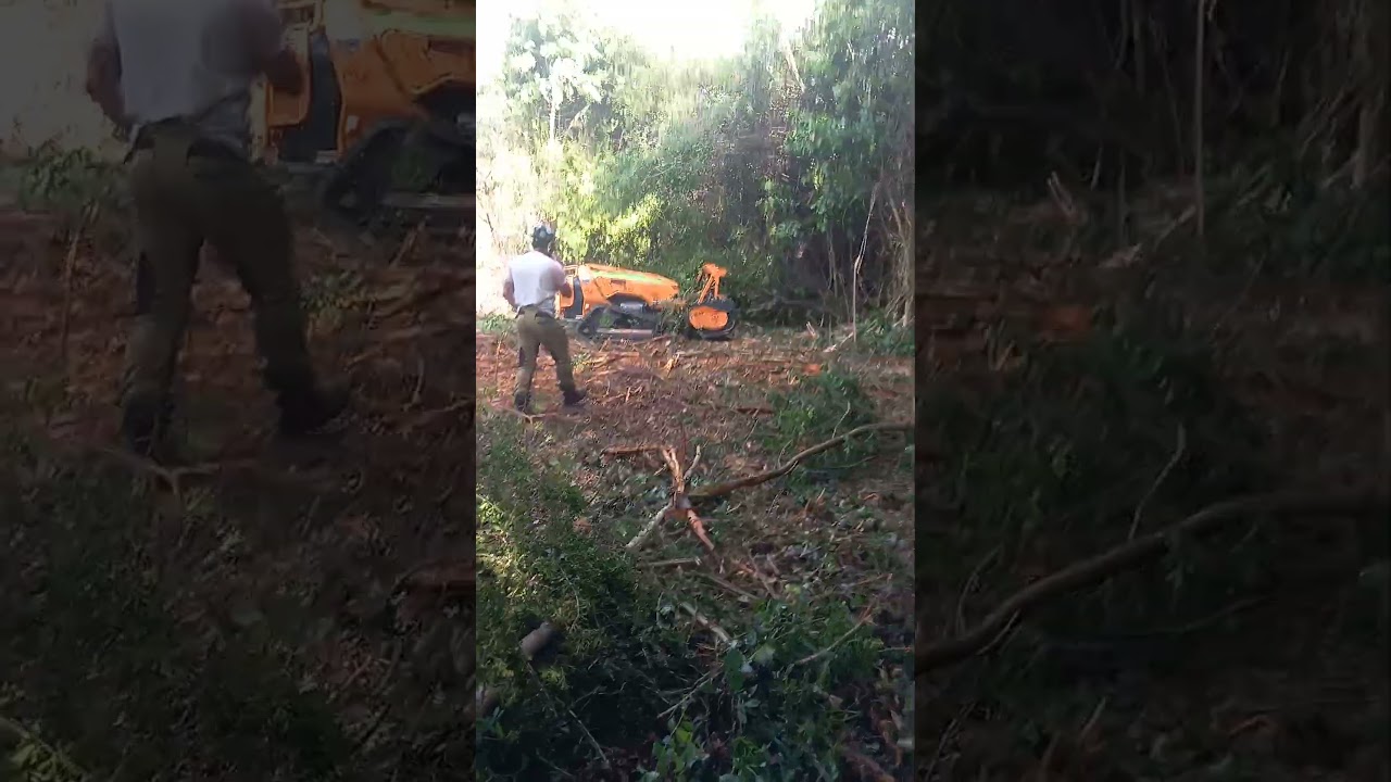 NFDC Planning Application 25/10832 - Site Clearance 22nd May 2025