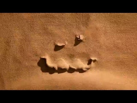 Rajasthan Tourism Logo Reveal