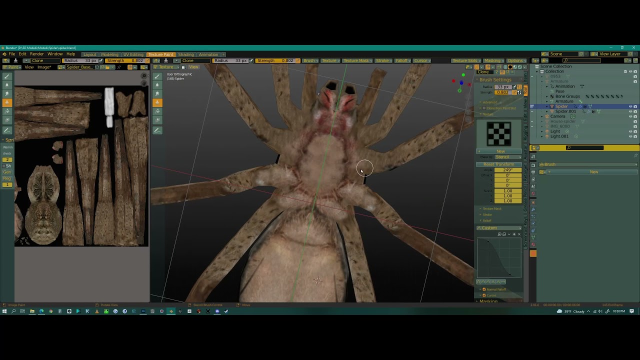 3D Wolf Spider Texturing Timelapse