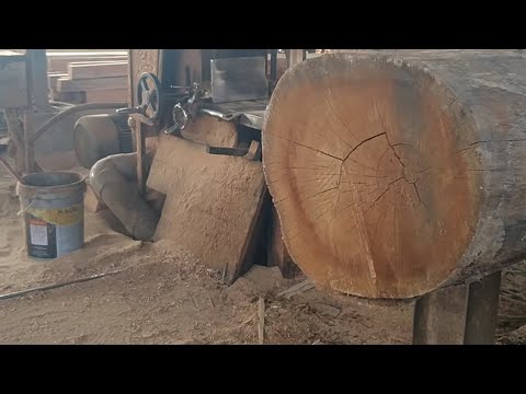 Penggergajian Kayu Meranti - Bikin balok kayu