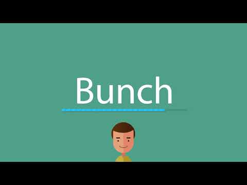 How to pronounce Bunch