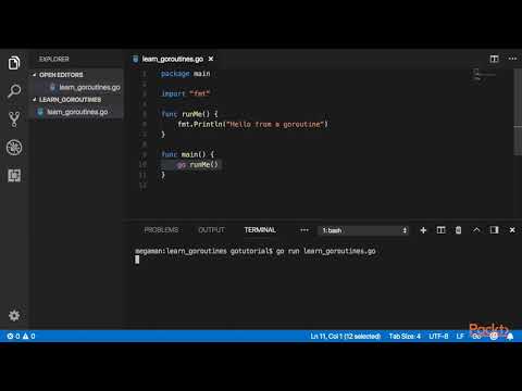 Learn Learn Go in 3 Hours CSP and Goroutines|packtpub com - Mind Luster