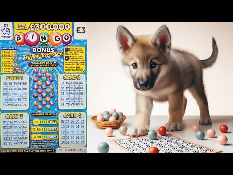 Scratchin' Bingo 5 - £300,000 BINGO BONUS Scratch Card Lottery Scratcher #scratchcards #viral #bingo
