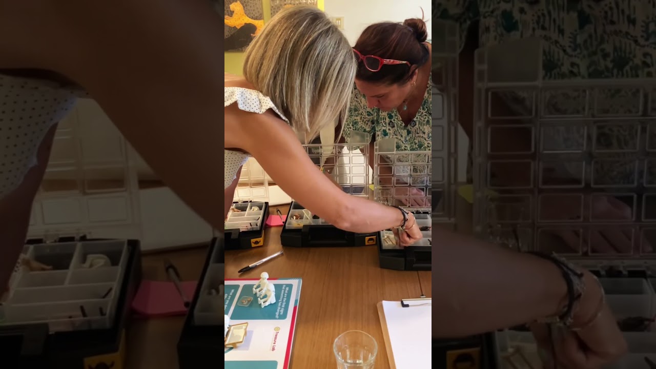 Exploring Personal Vision through Playmobil & Peer Coaching