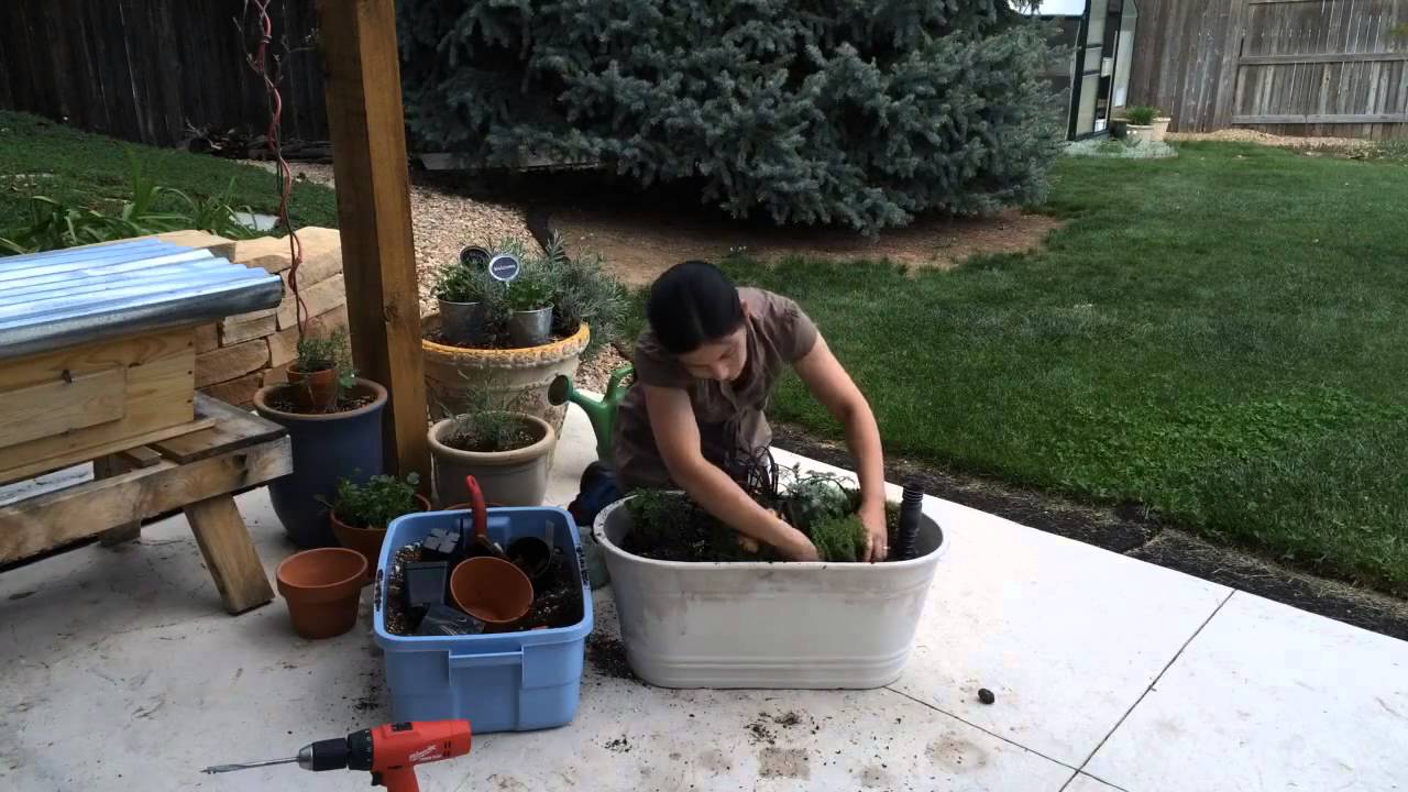 Børn DIY:  Father's Day Beer Garden