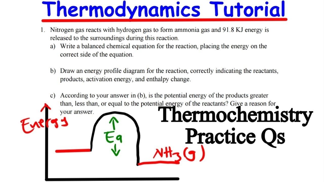 Thermodynamics Explained: CHEM 1010 Tutorial Sheet 2