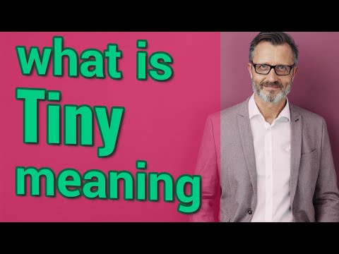 Tiny | Meaning of tiny